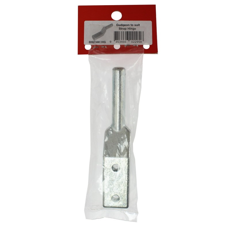 STRAP HINGE GUDGEON - Paramount Browns', Adelaide